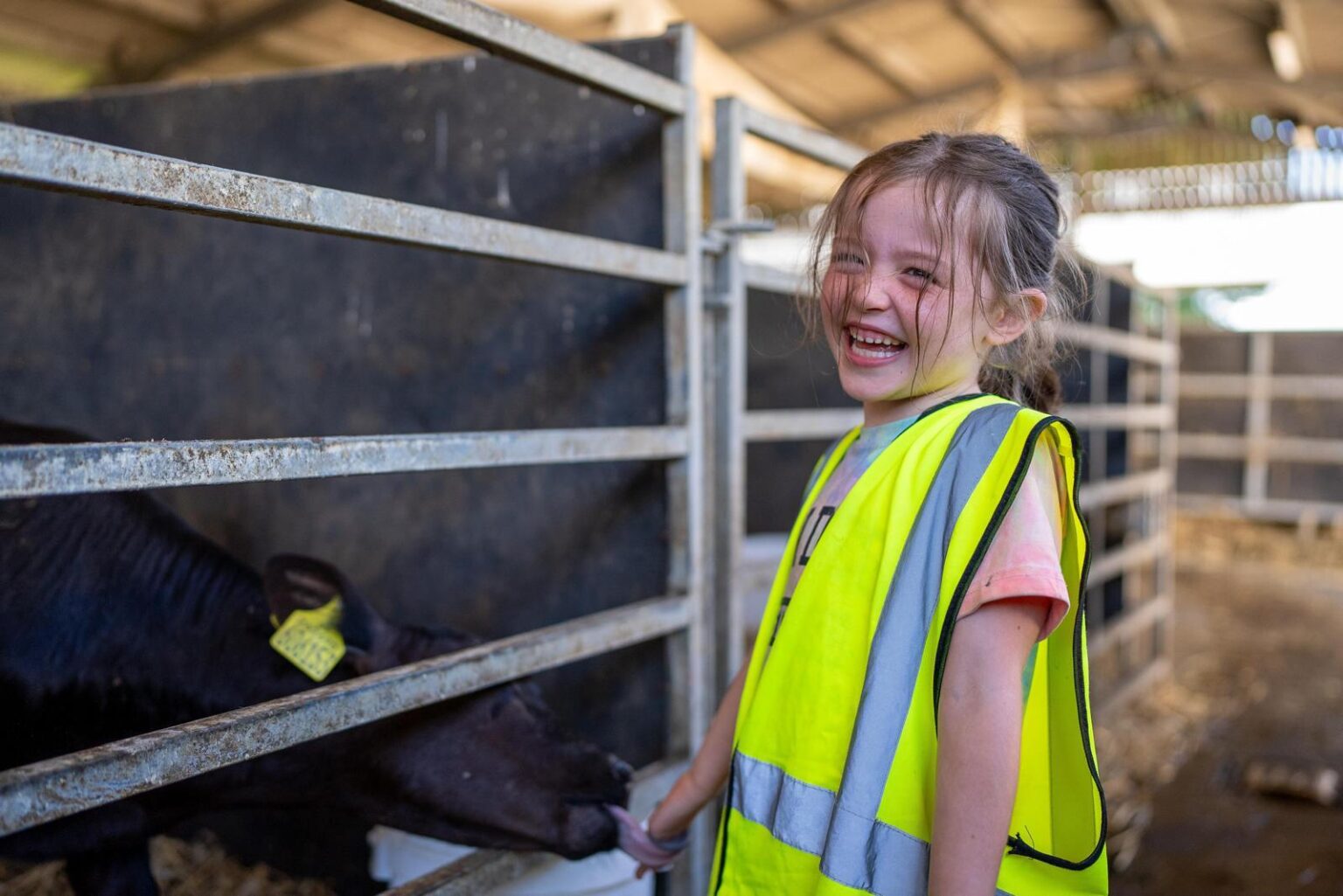 Prept. | The Foundation For Satisfying Food Futures | BRAVO 2026